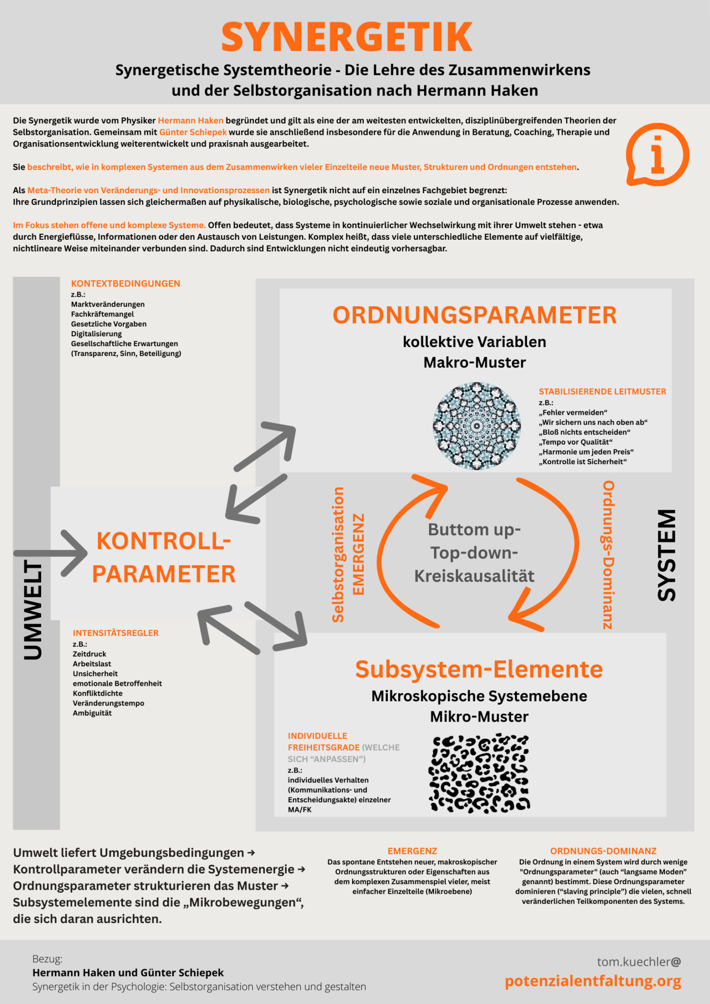 POTENZIALENTFALTUNG.ORG | Synergetik